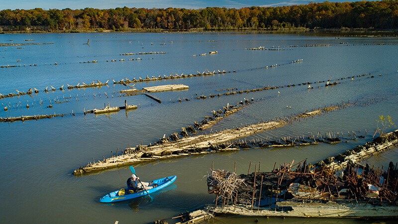 Mallows Bay Park - Southern Maryland Equity in History Coalition